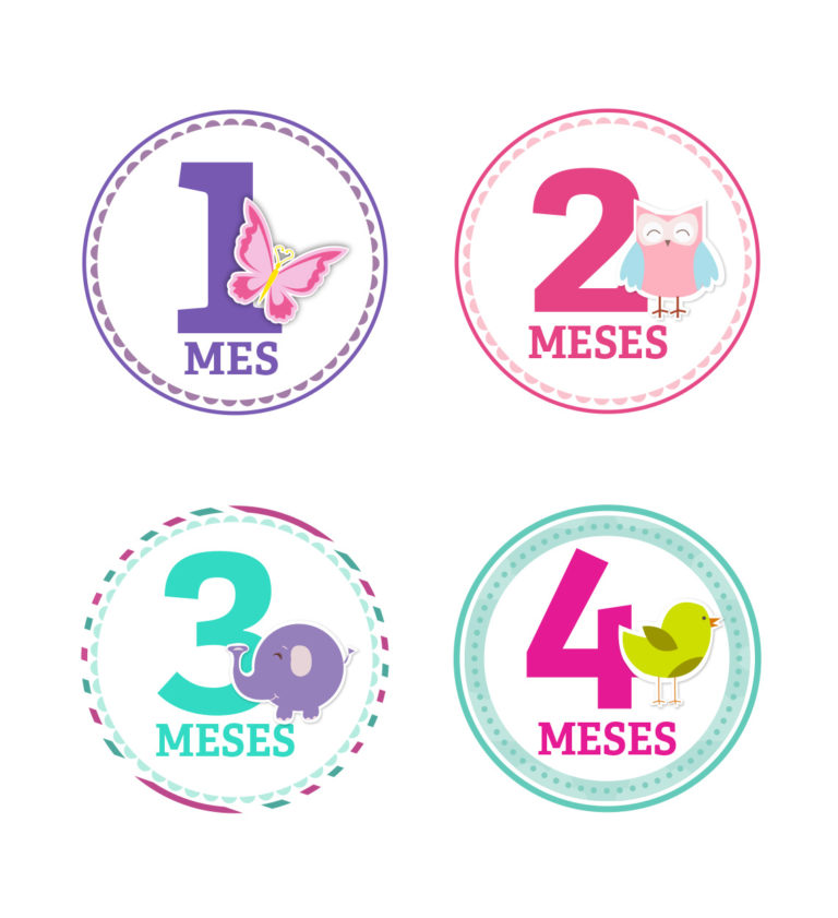 Stickers 12 Meses Animales, diseños digitales para toda ocasión.